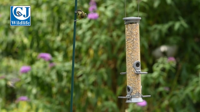 National Trust 4 Port Metal Seed Feeder