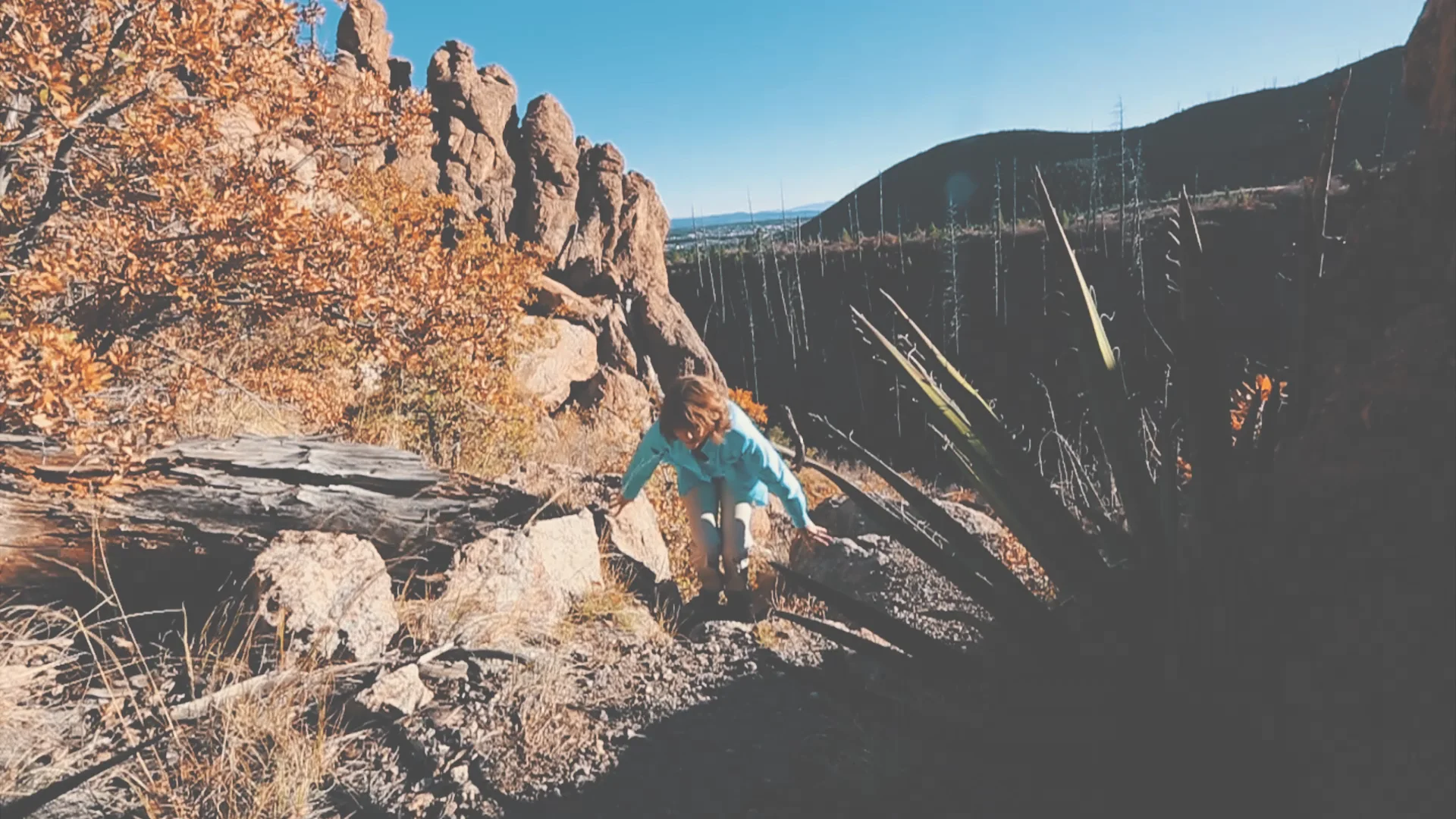 Joy Whittle Realtor on Vimeo