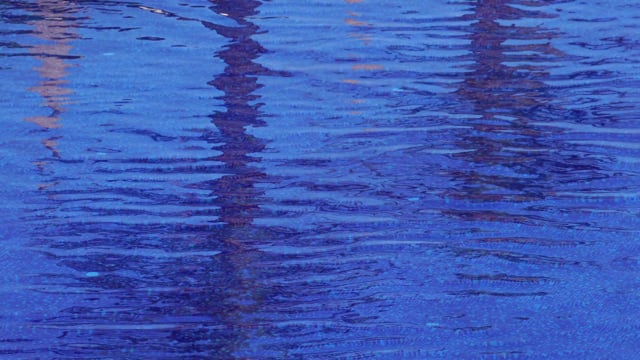 30+ Free Transparent Background & Transparent Videos, HD & 4K Clips ...