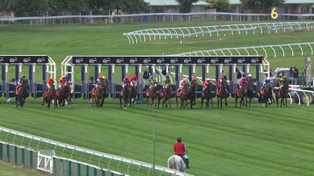 Reliable Man - Stallion | Breednet