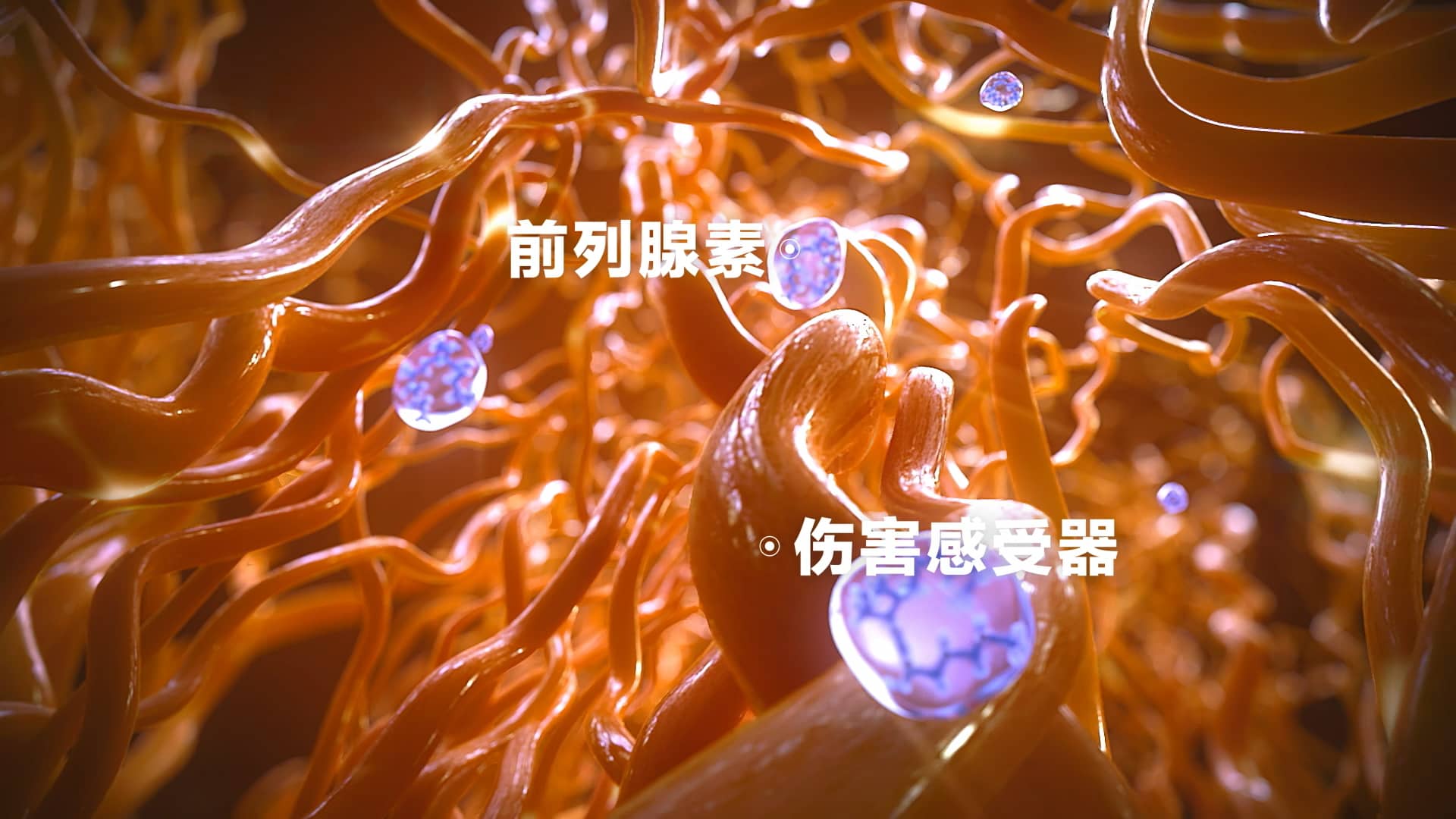 Fenbid 400 Science Video (China) on Vimeo