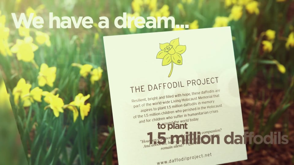Become a Partner - The Daffodil Project