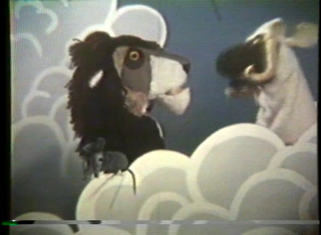 Brother Buzz TV Series on Vimeo