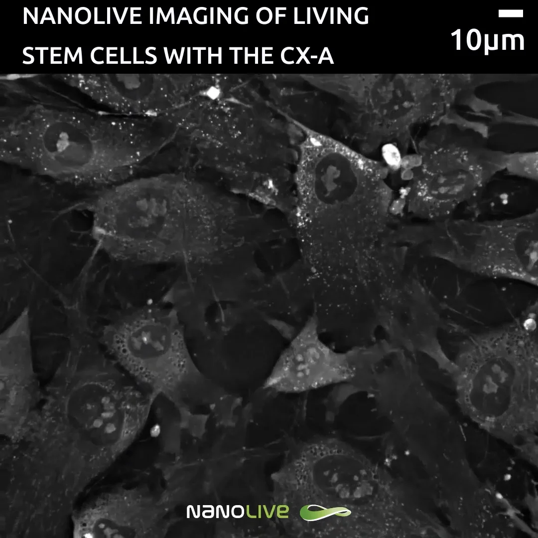 Nanolive imaging of living stem cells with the CX-A