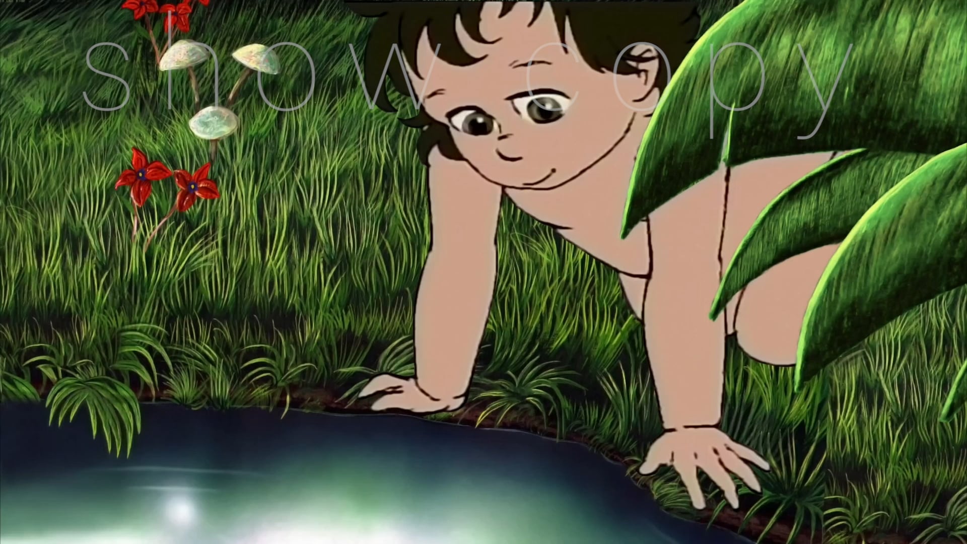 HAY TEASER COPY on Vimeo