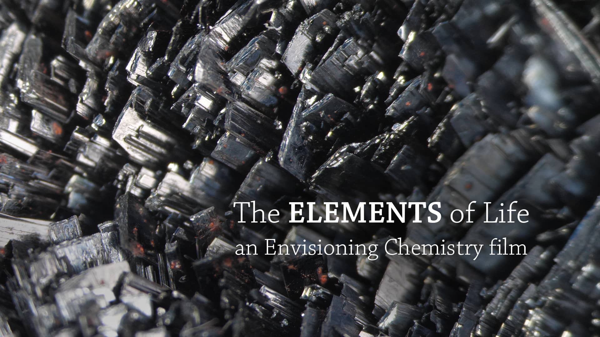 The ELEMENTS of Life on Vimeo