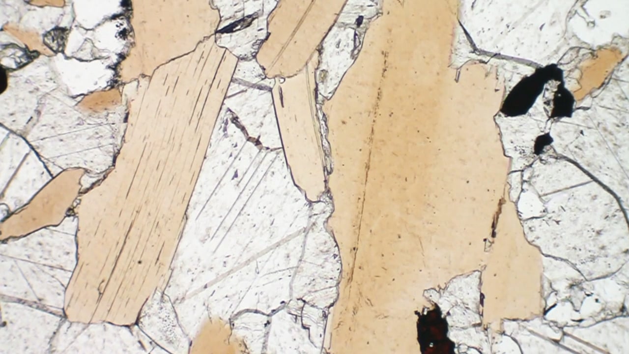 phlogopite in thin section FKM-193 PPL on Vimeo