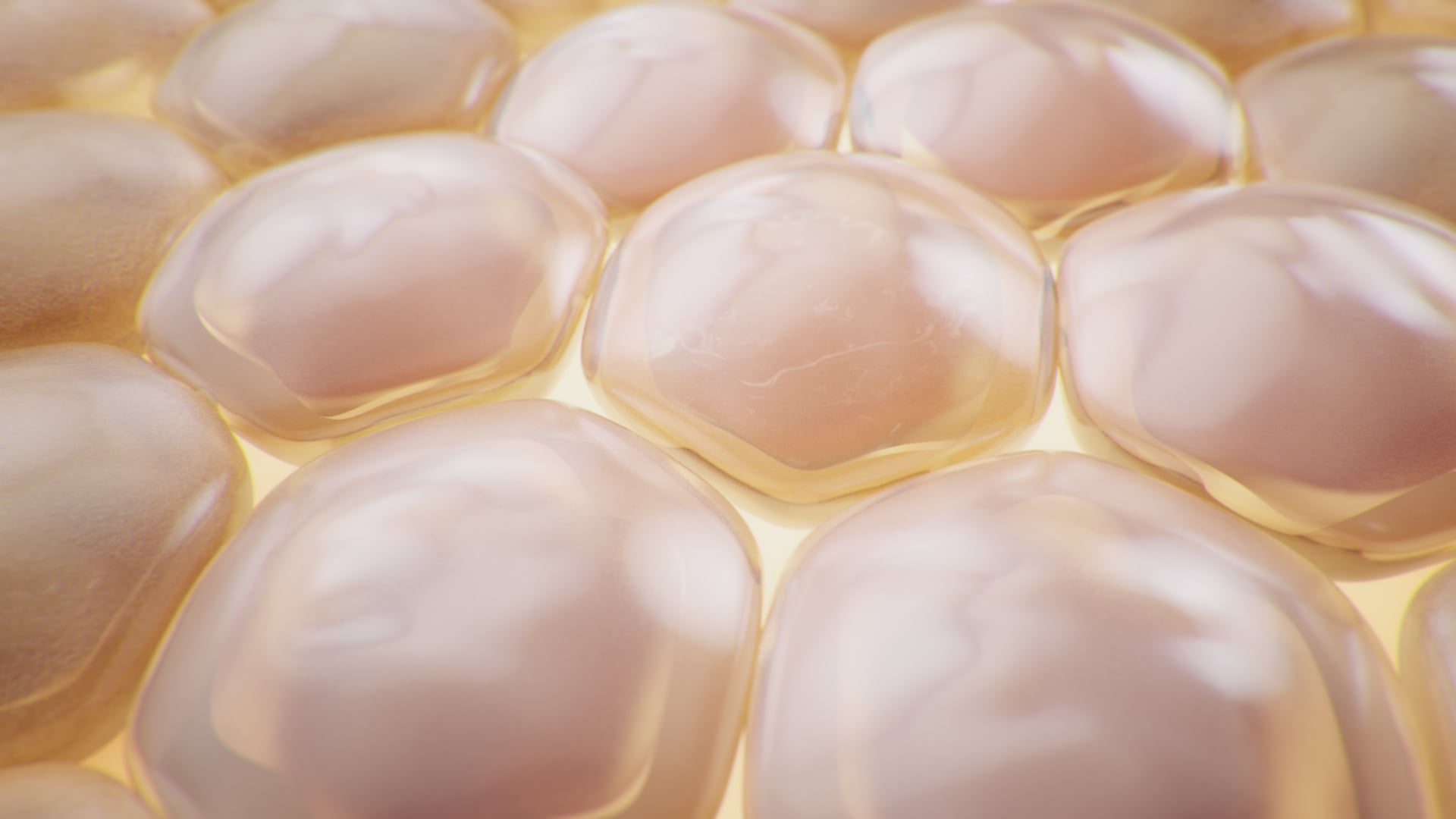 Inflating cell animation on Vimeo