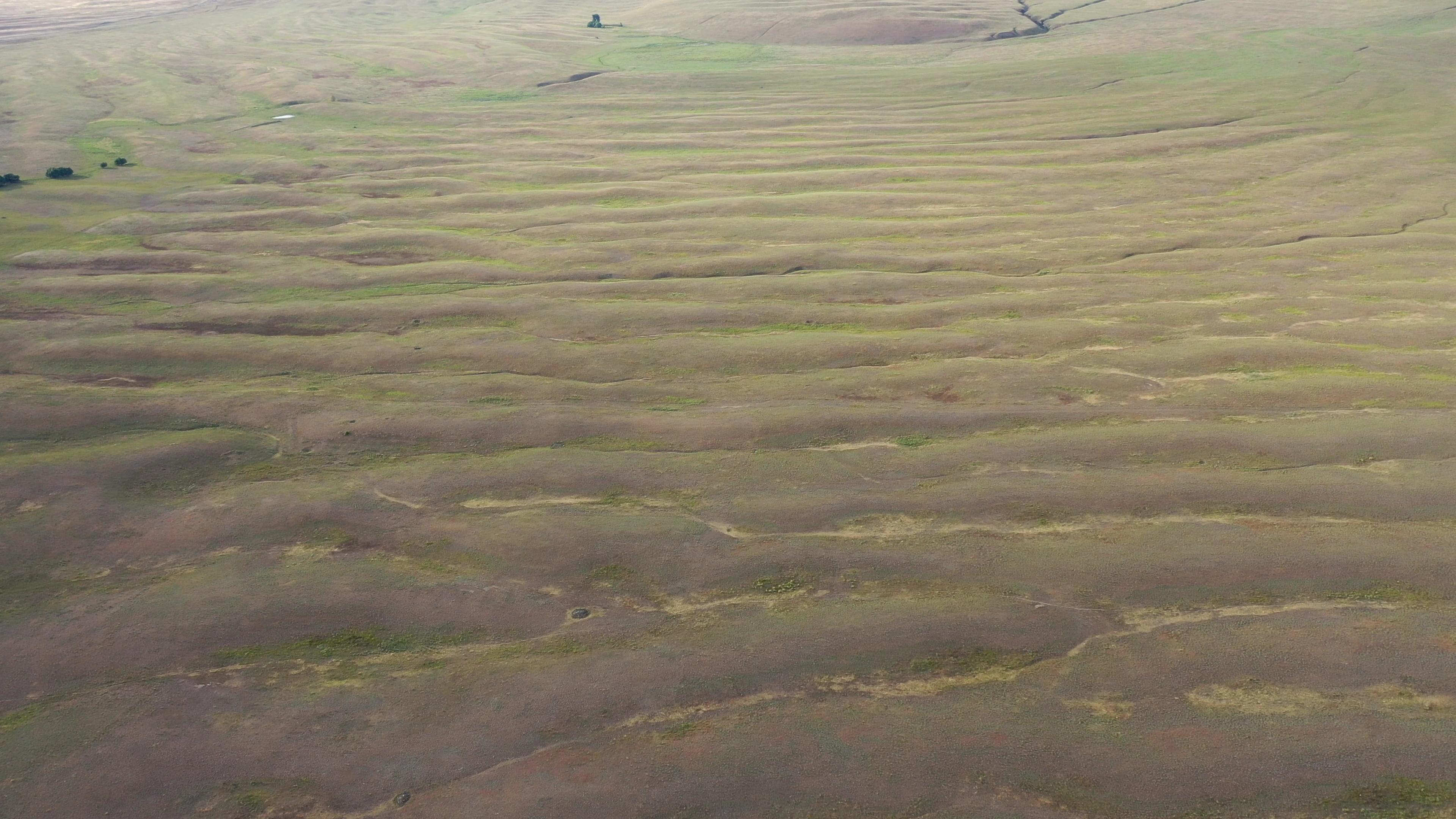 Camas Prairie flood bumps on Vimeo