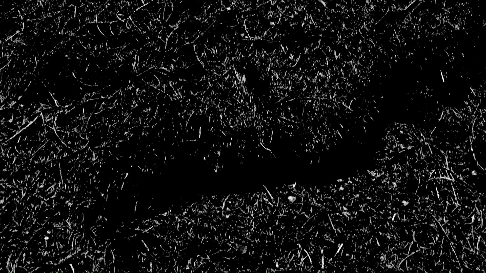 Finding Satan on Planet Earth on Vimeo