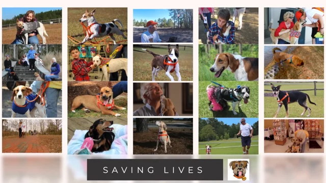 Farley Foundation