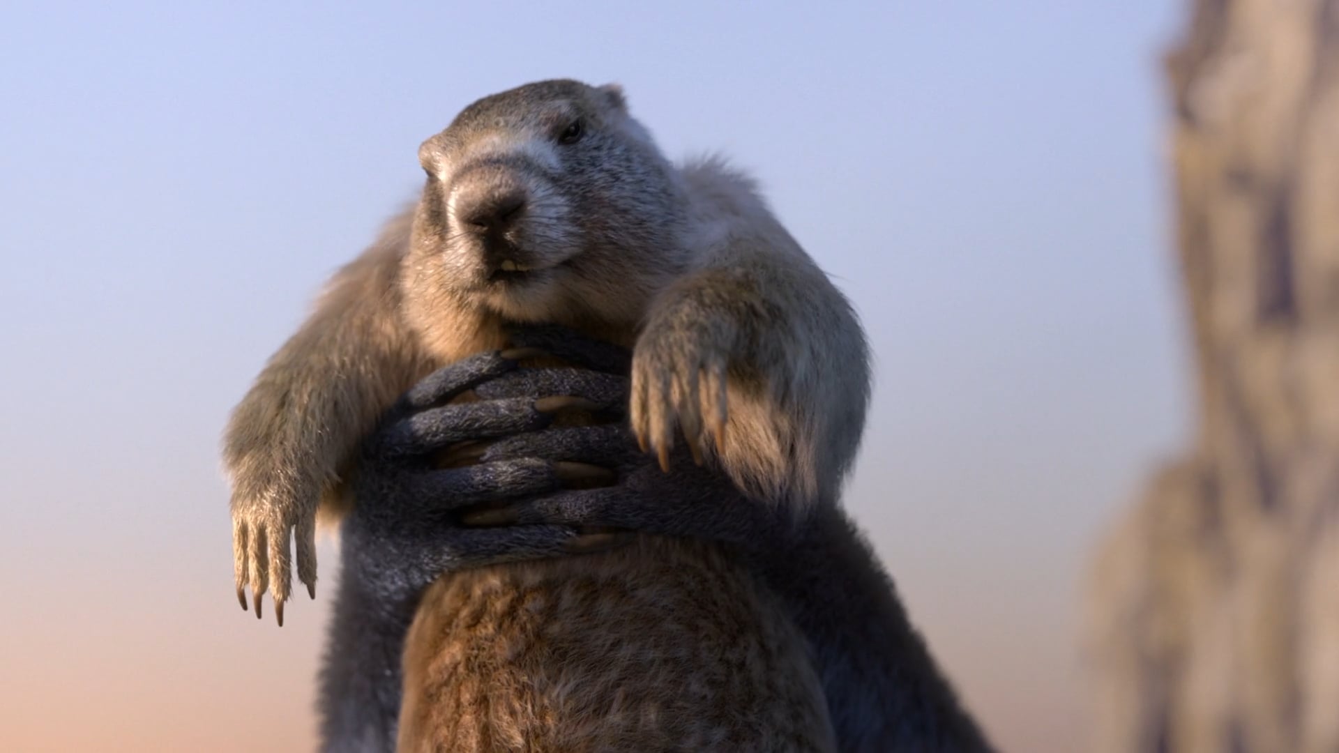 Ad | The Marmot King on Vimeo