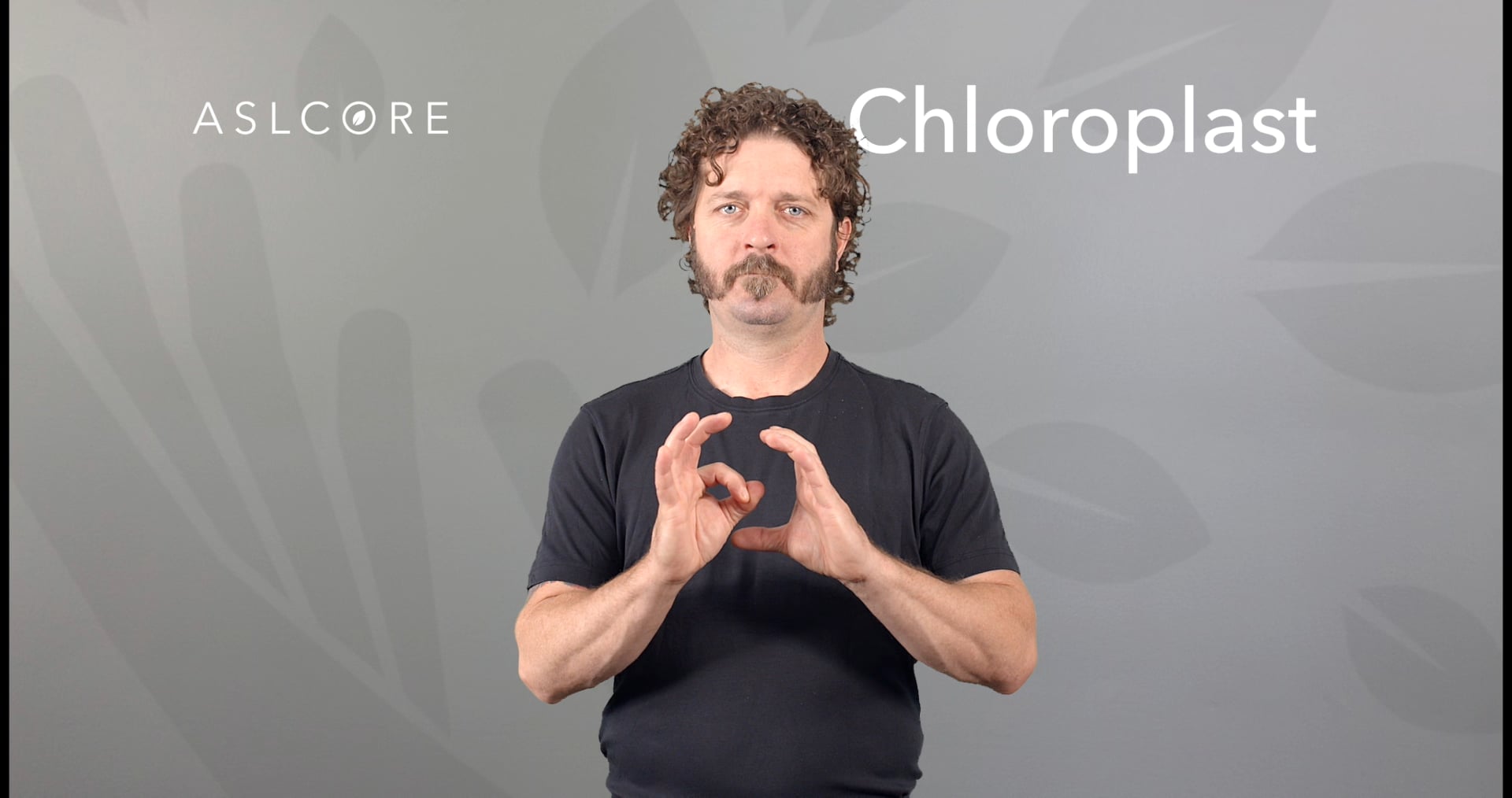 Chloroplast Sign on Vimeo