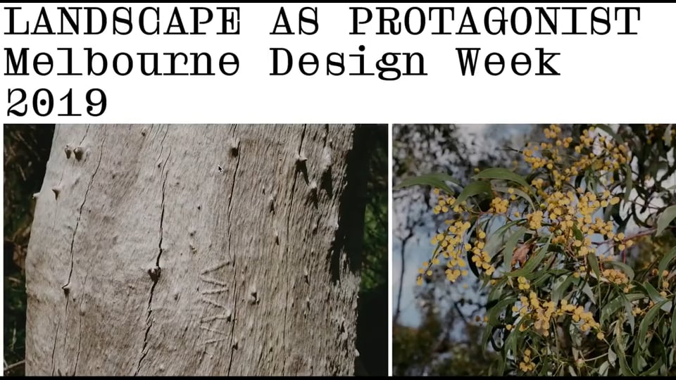 Landscape as Protagonist | HOVERSTAT.ES