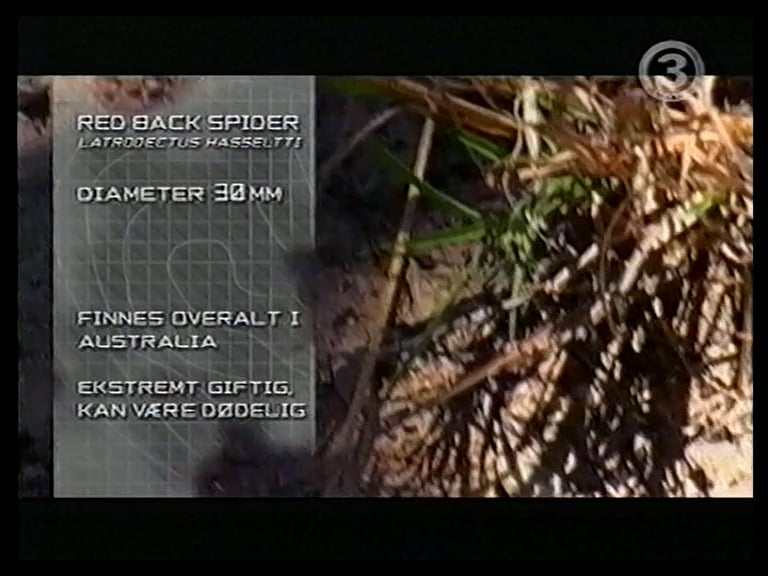 6609 01-13_ Camp molloy I on Vimeo