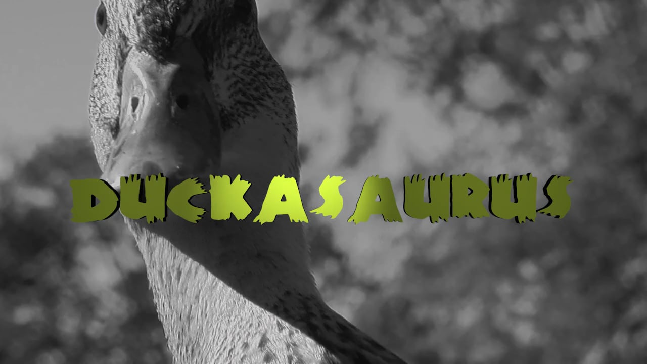 Don't Feed the Waterfowl - Duckasaurus PSA on Vimeo