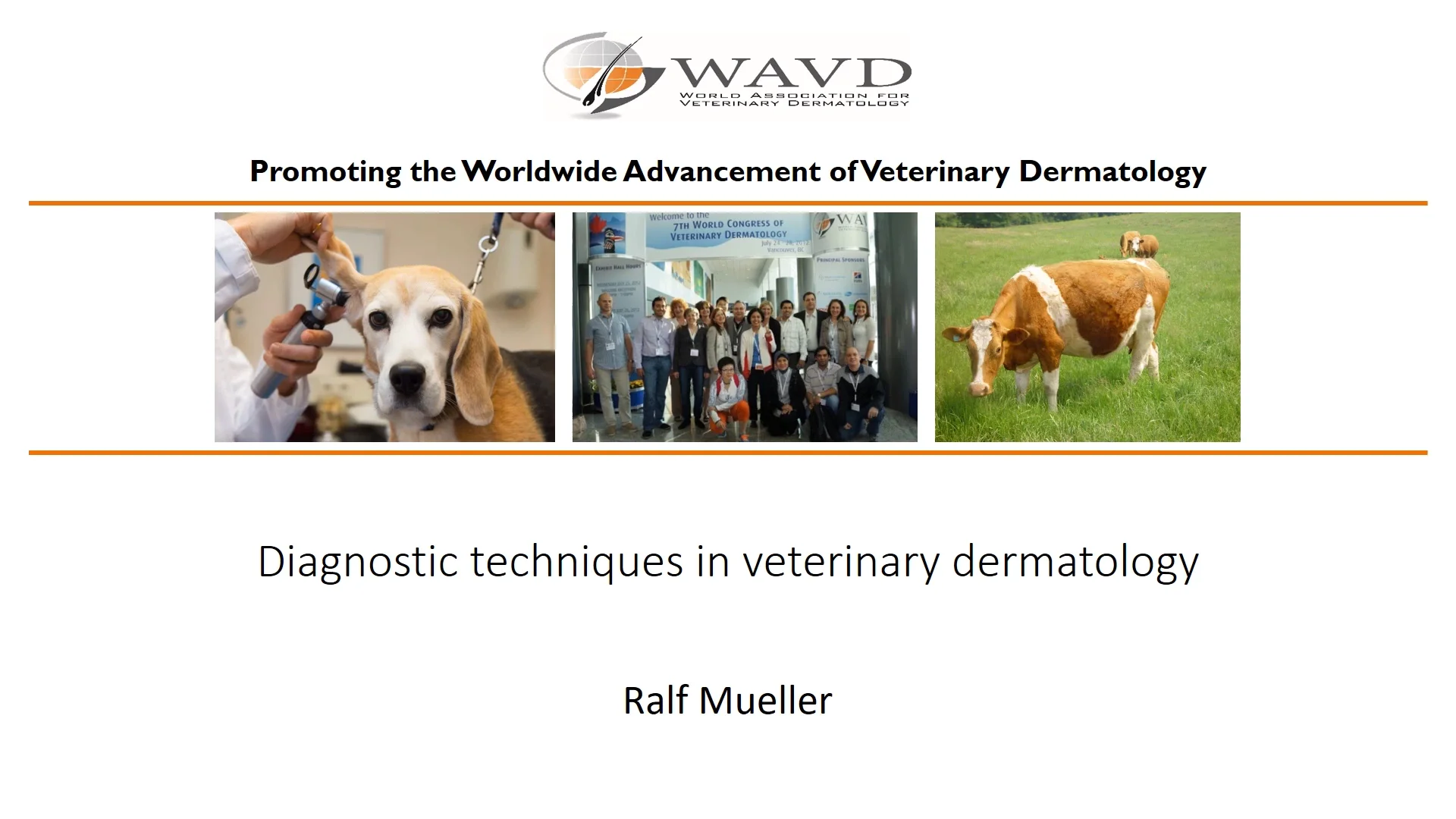 Diagnostic Techniques in Veterinary Dermatology