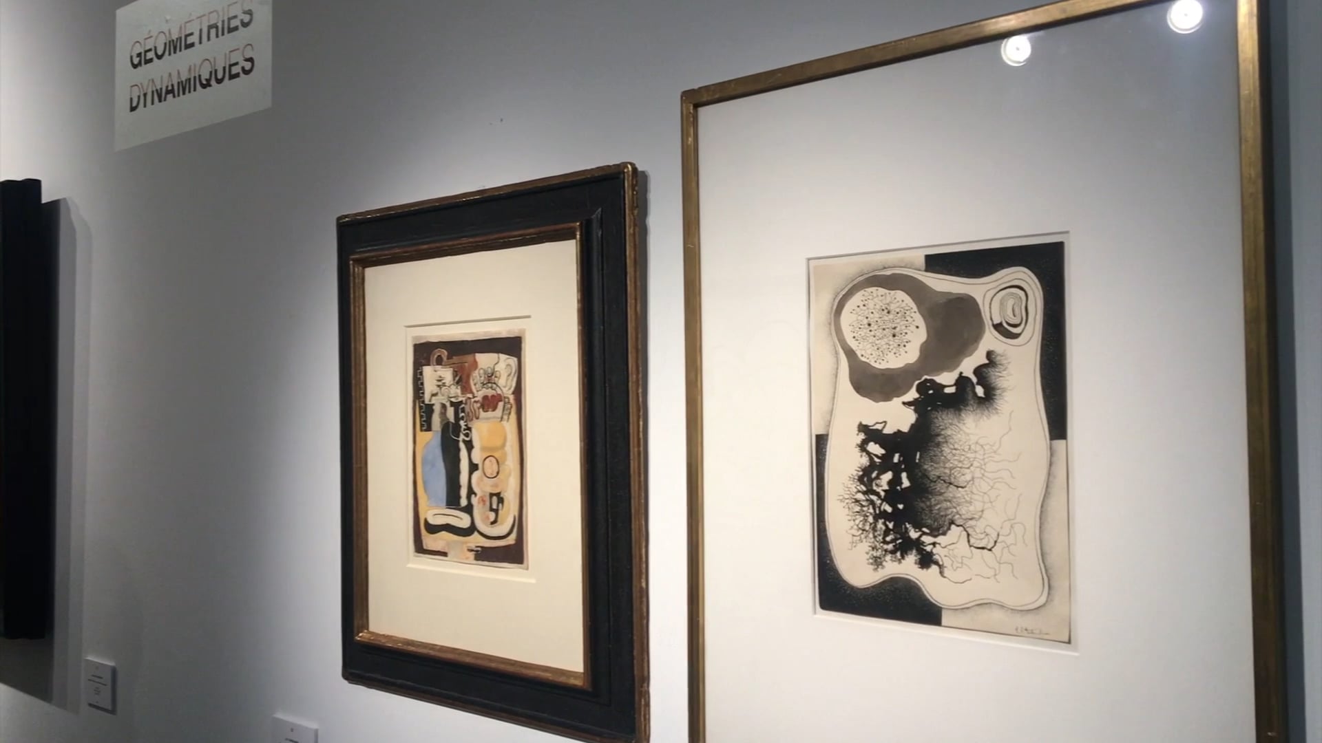 Biomorphisme 1920-1950 | Galerie Le Minotaure on Vimeo