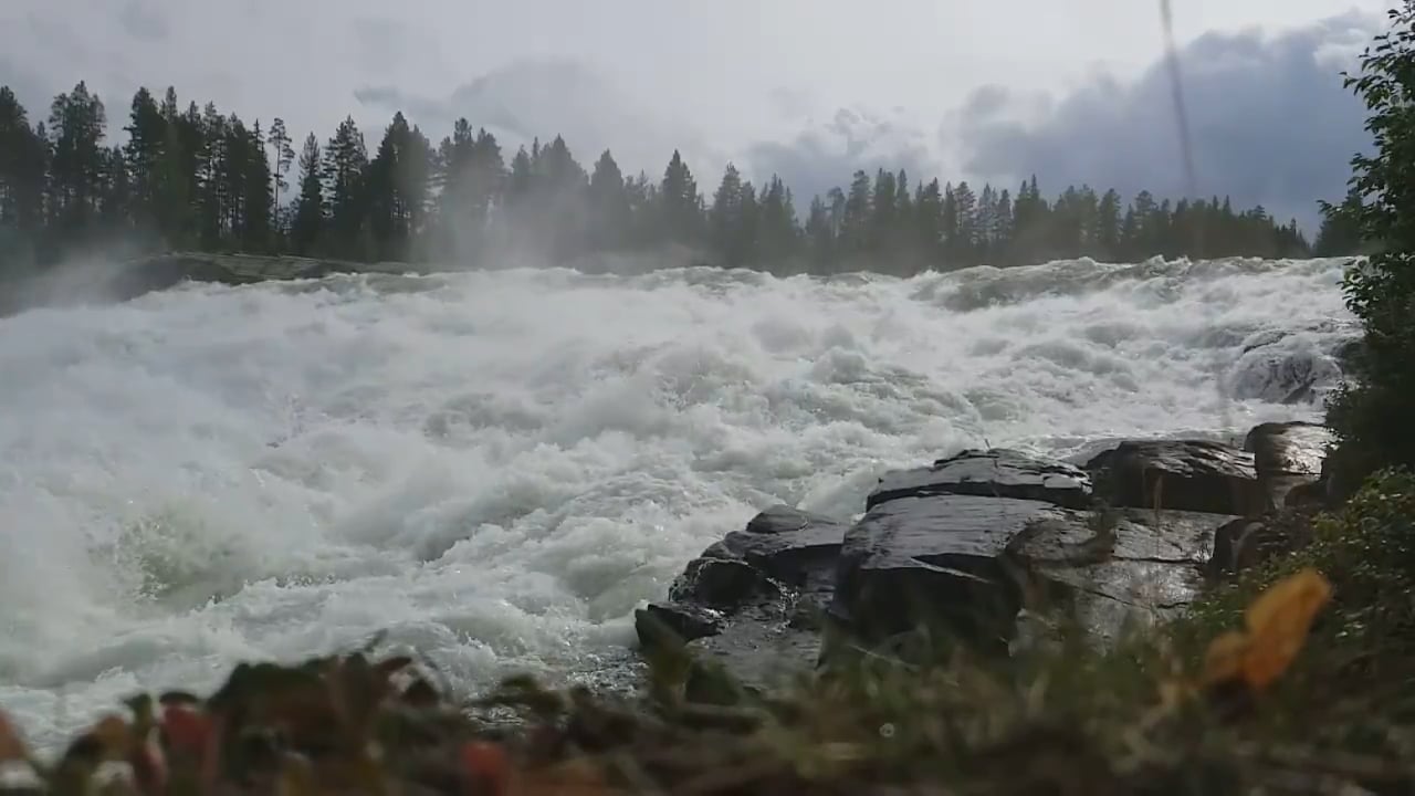 Storforsen. The largest waterfall in Europe. on Vimeo