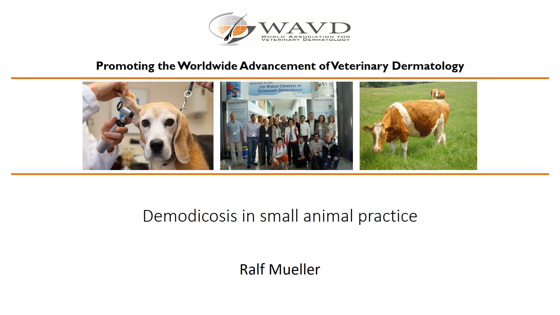 Demodicosis in small animal practice - Ralf Mueller