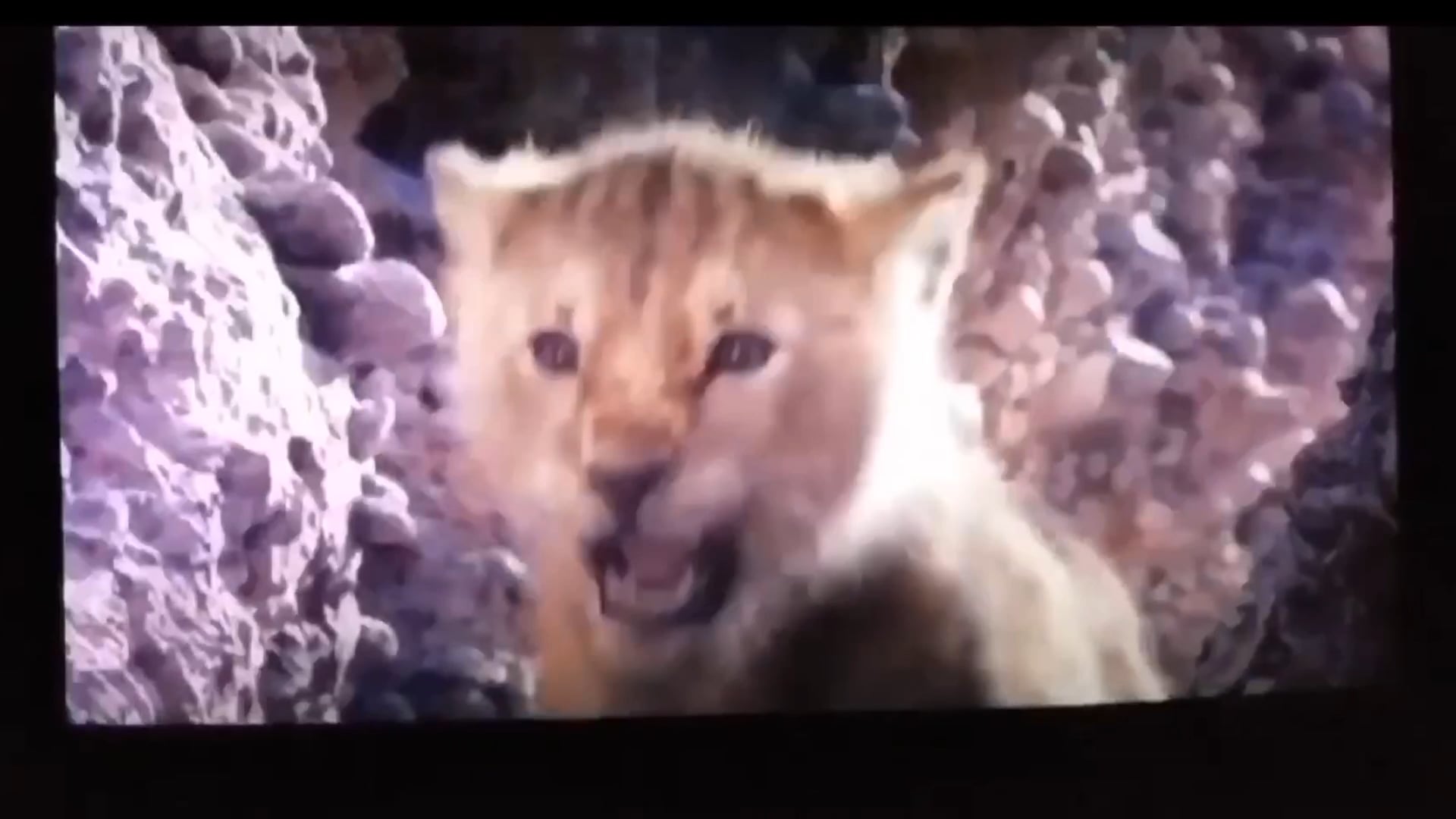 Simba Screams "No!!!" (2019) Crossover