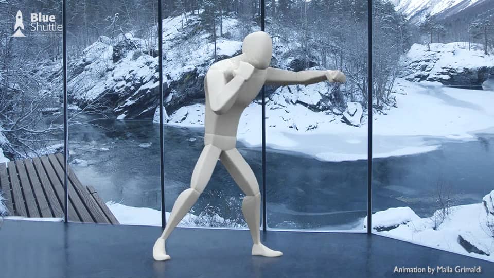 Boxing animation + reference on Vimeo