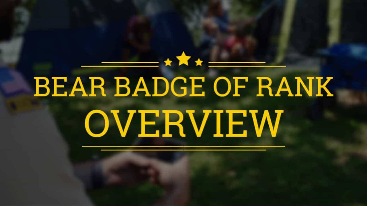 Bear Badge of Rank Overview on Vimeo