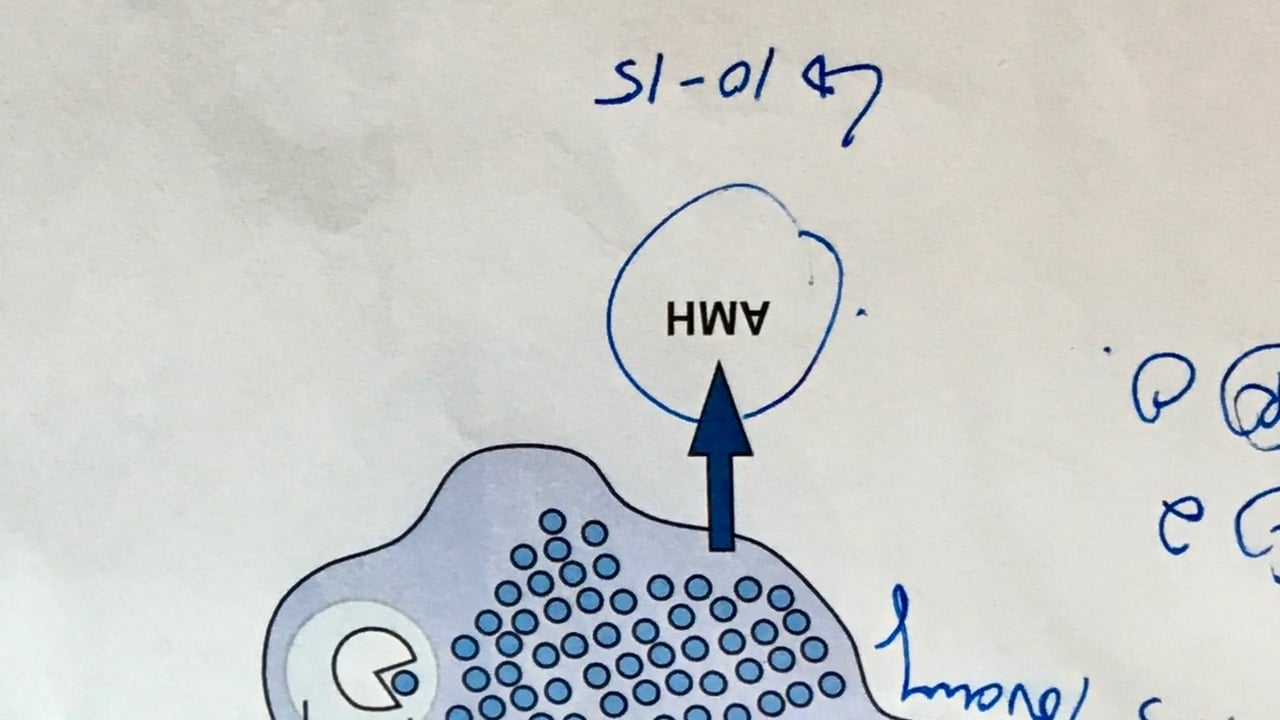 Magic Numbers by Sally Chivers-Storey on Vimeo