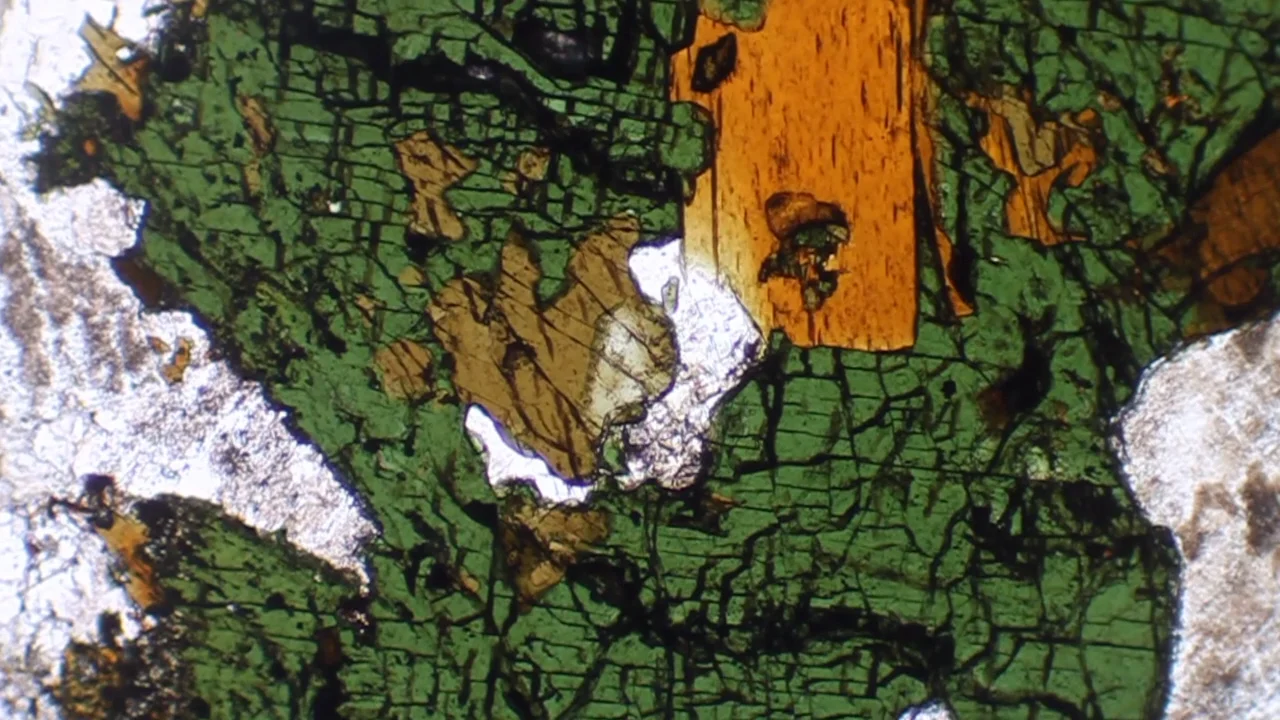 aegirine-augite in thin section FKM-249 PPL