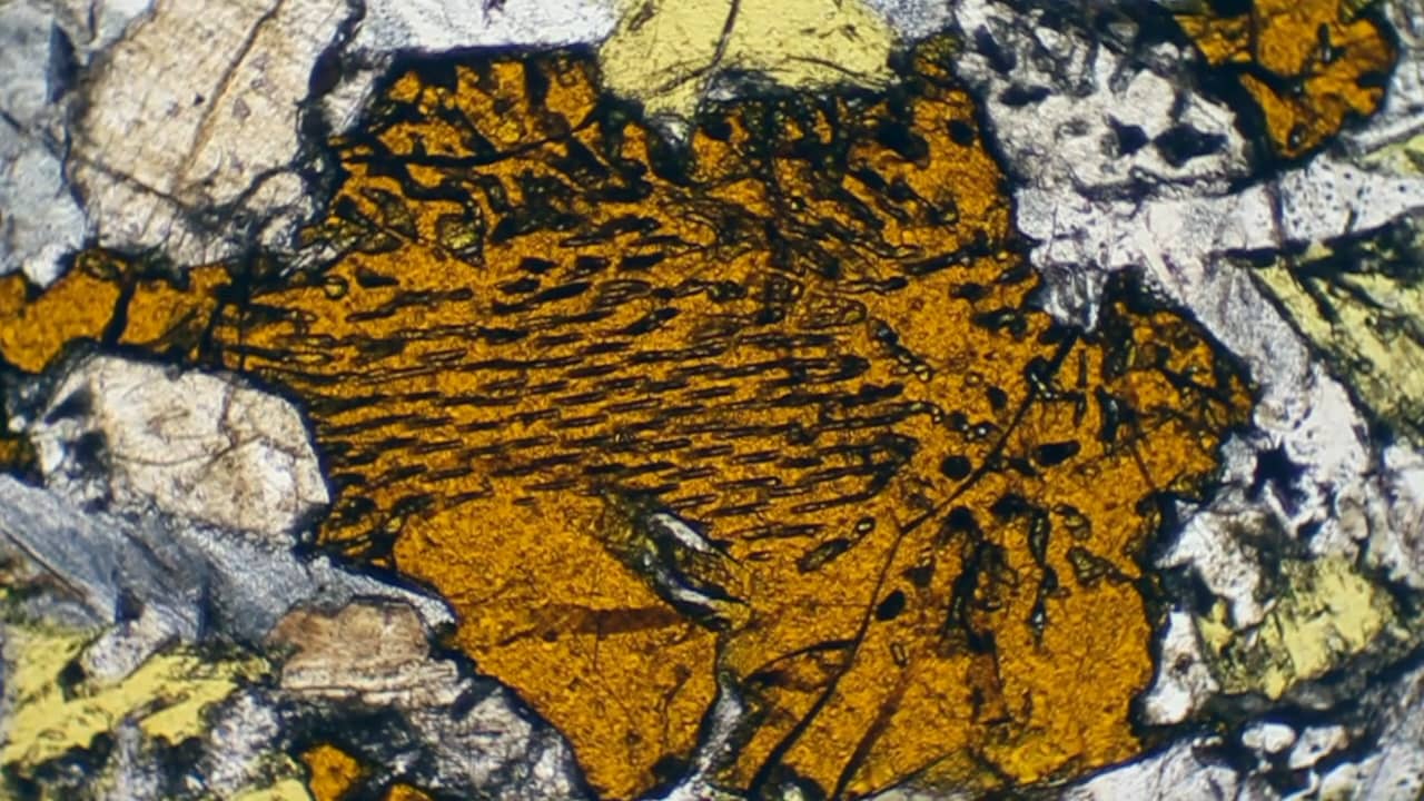 andradite in thin section FKM-271 PPL on Vimeo