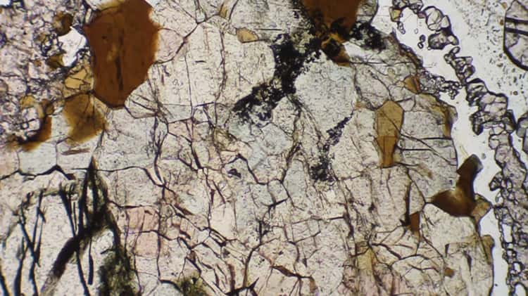 Enstatite Thin Section