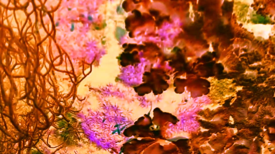 Mbaba Mwana Waresa – Fertility Goddess from the Album Mwana Wa Mulungu ...