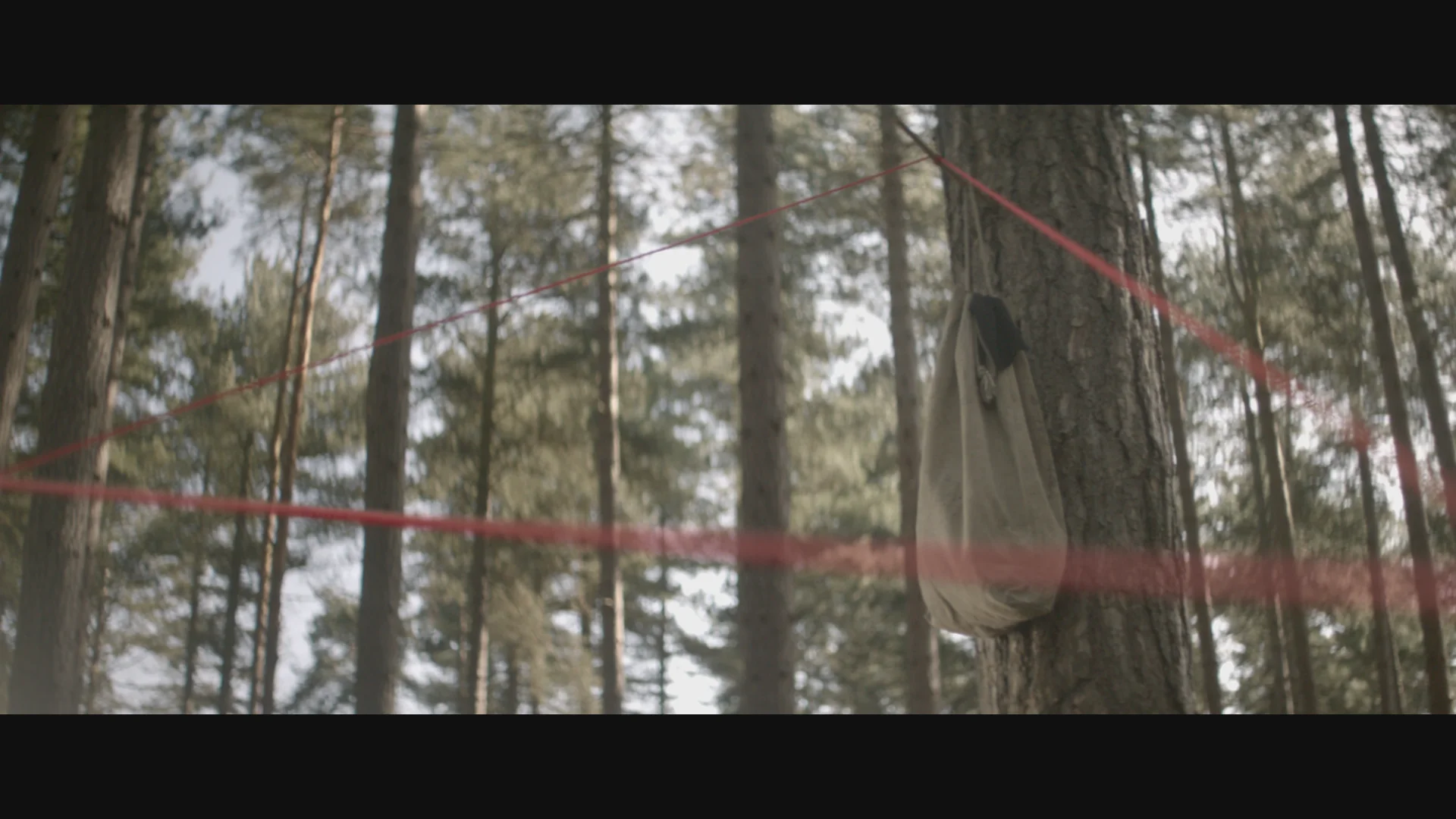 Alibi Idents on Vimeo