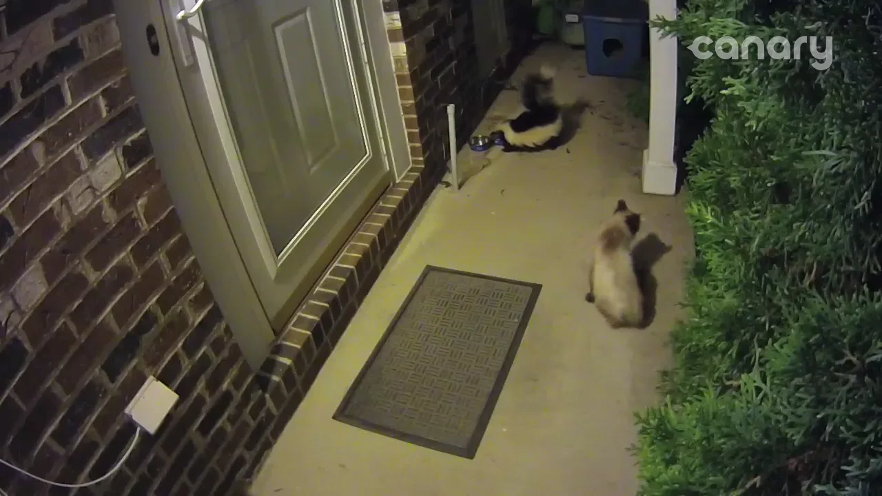 Cinnamon & Skunk on Vimeo