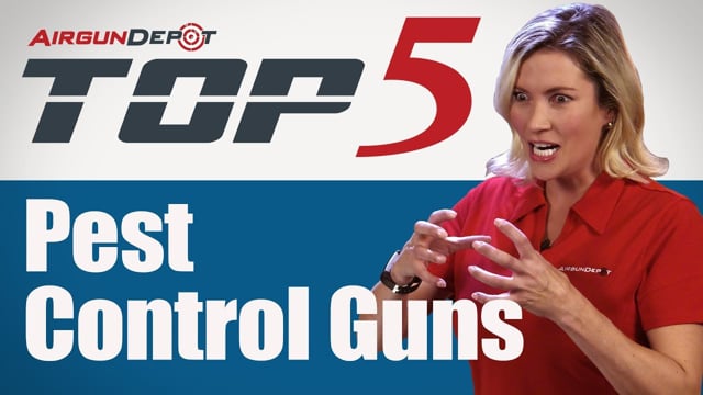 Top 5 Pest Control Guns - Airgun101