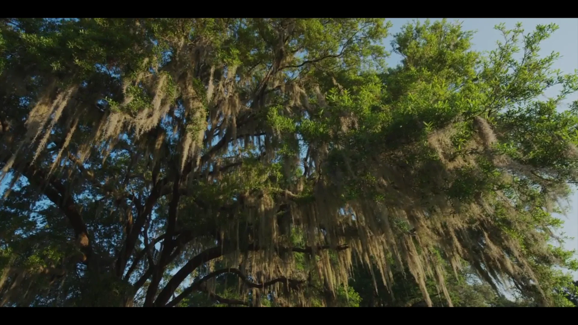 Matt Rosenblatt Reel on Vimeo