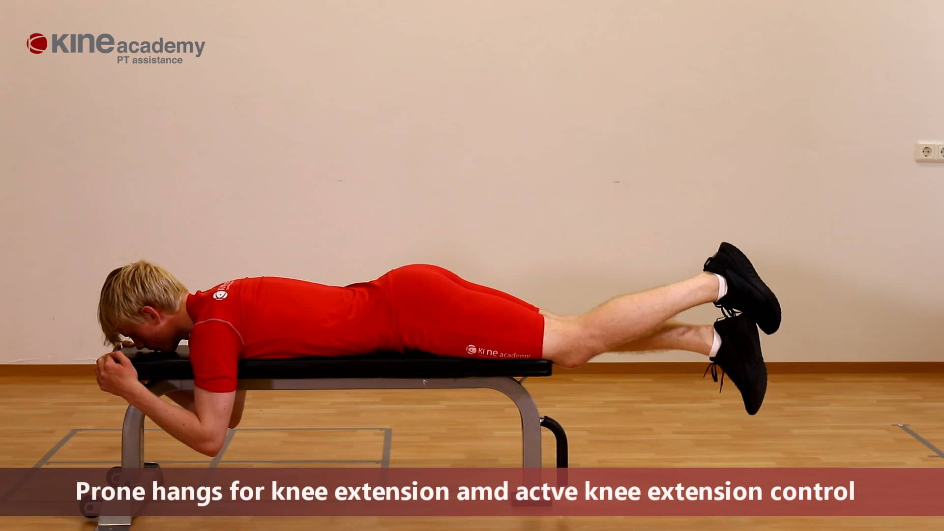 0052-Prone hangs for knee extension amd actve knee extension control on ...