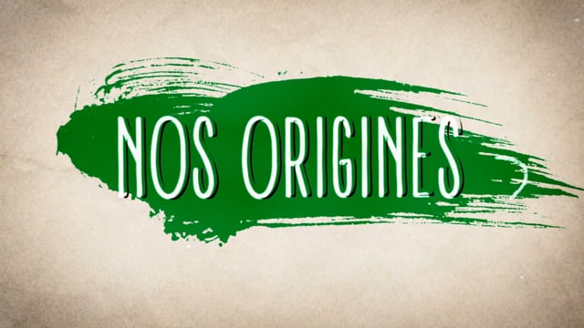 Les origines dictionnaire visue…: Français FLE leçons vidéo