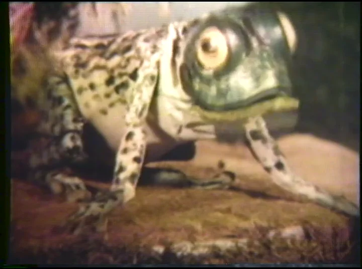 Brother Buzz TV Series - Realm of Reptiles on Vimeo