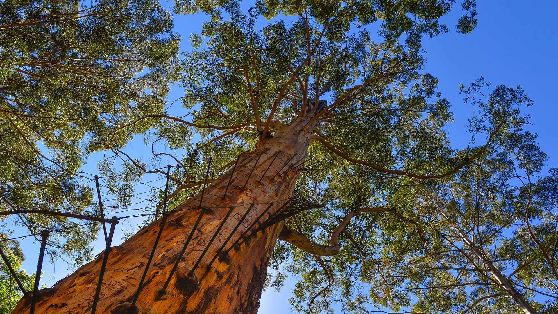 Outback Spirit Tours - The Pilbara - Teaser on Vimeo