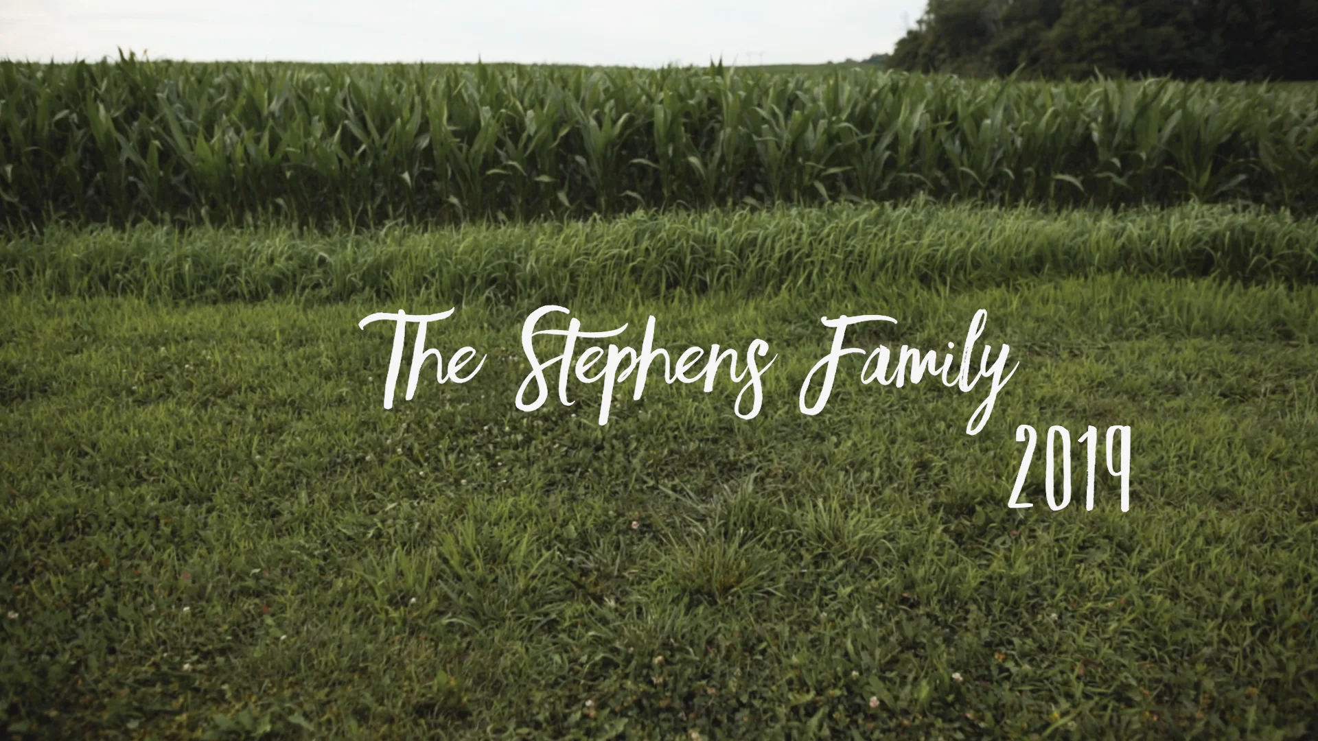 The Stephens Family Film - 2019 on Vimeo