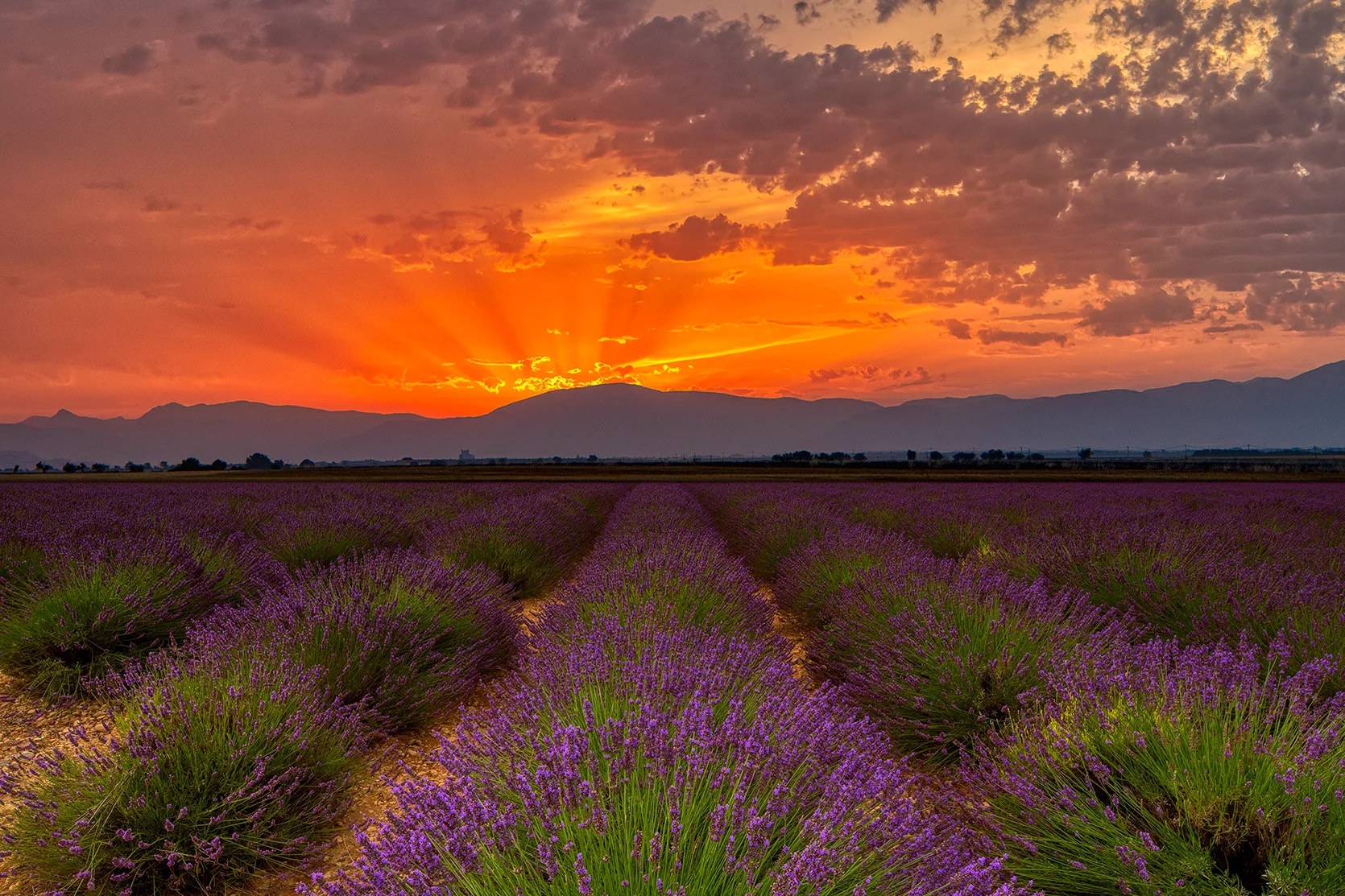 Provence, 2019