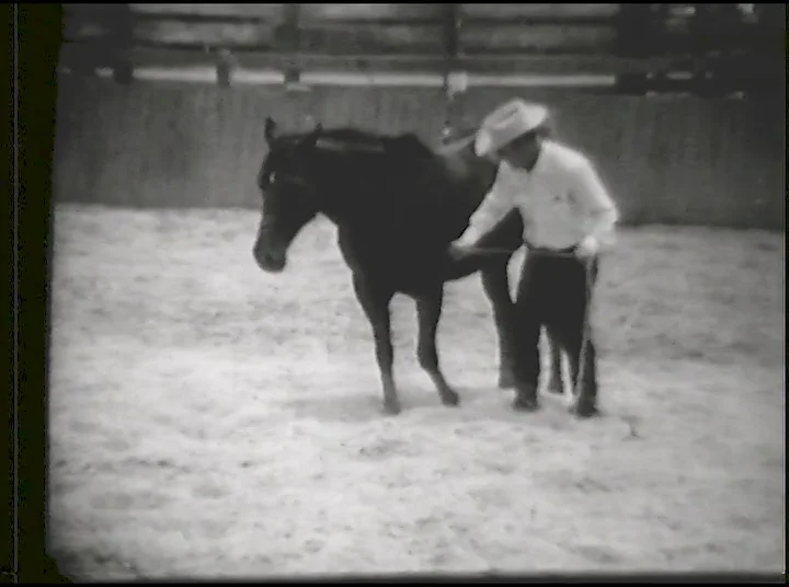 Brother Buzz TV Series - Showbiz on Vimeo