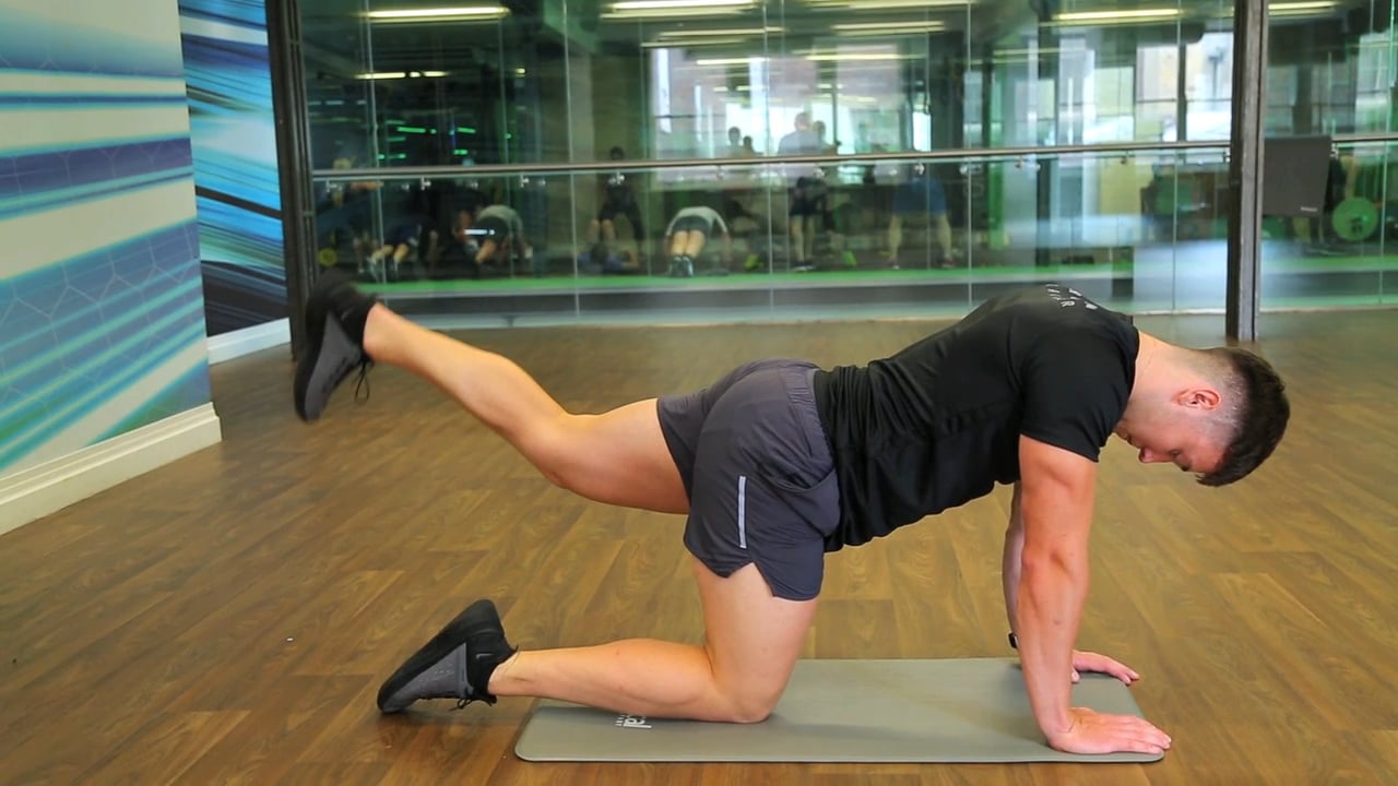 Quadruped Leg Curl on Vimeo