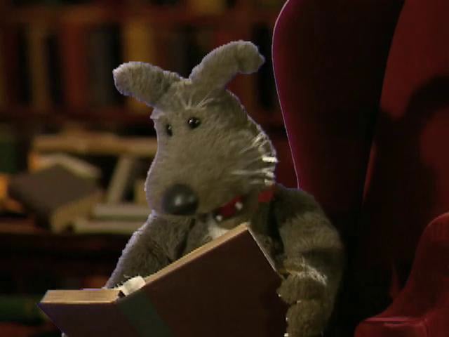 Ruffus The Dog on Vimeo