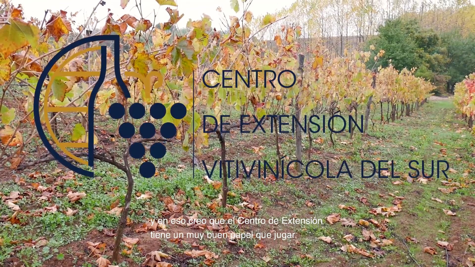 Viña Santa Ximena on Vimeo