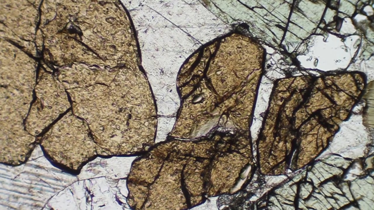 titanite in thin section FKM-165 PPL on Vimeo