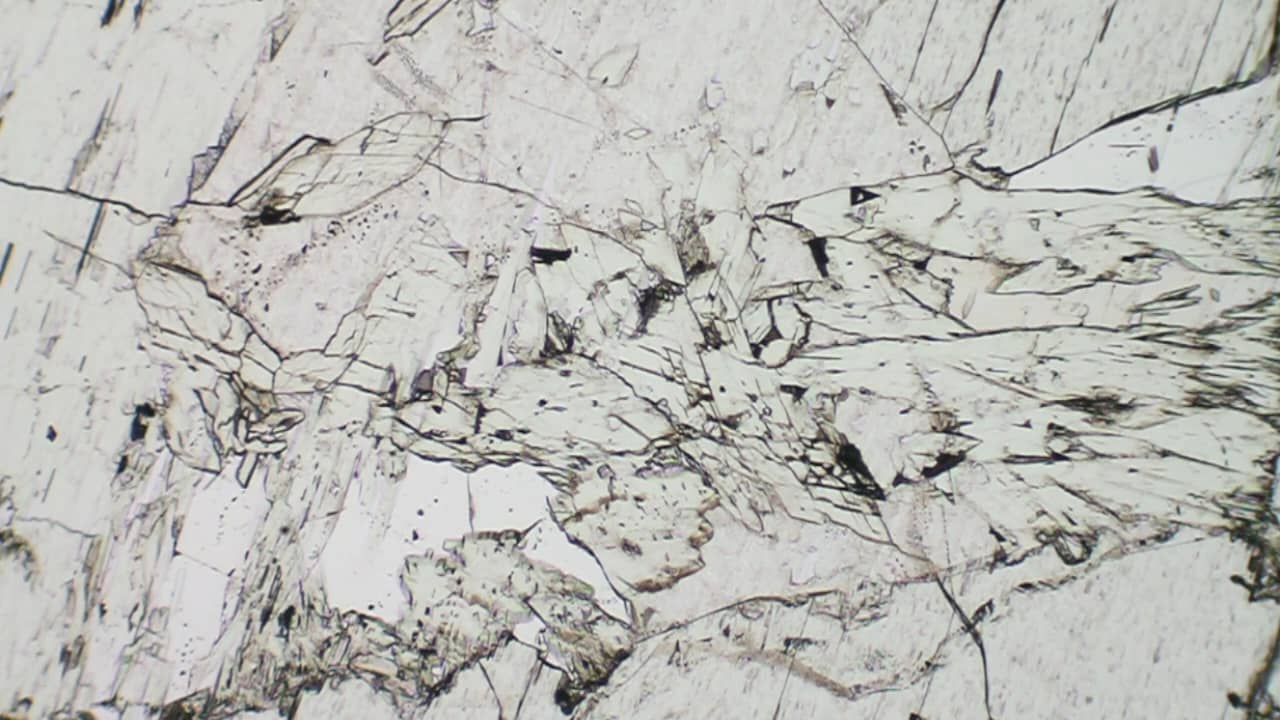 tremolite in thin section FKM-26 PPL on Vimeo