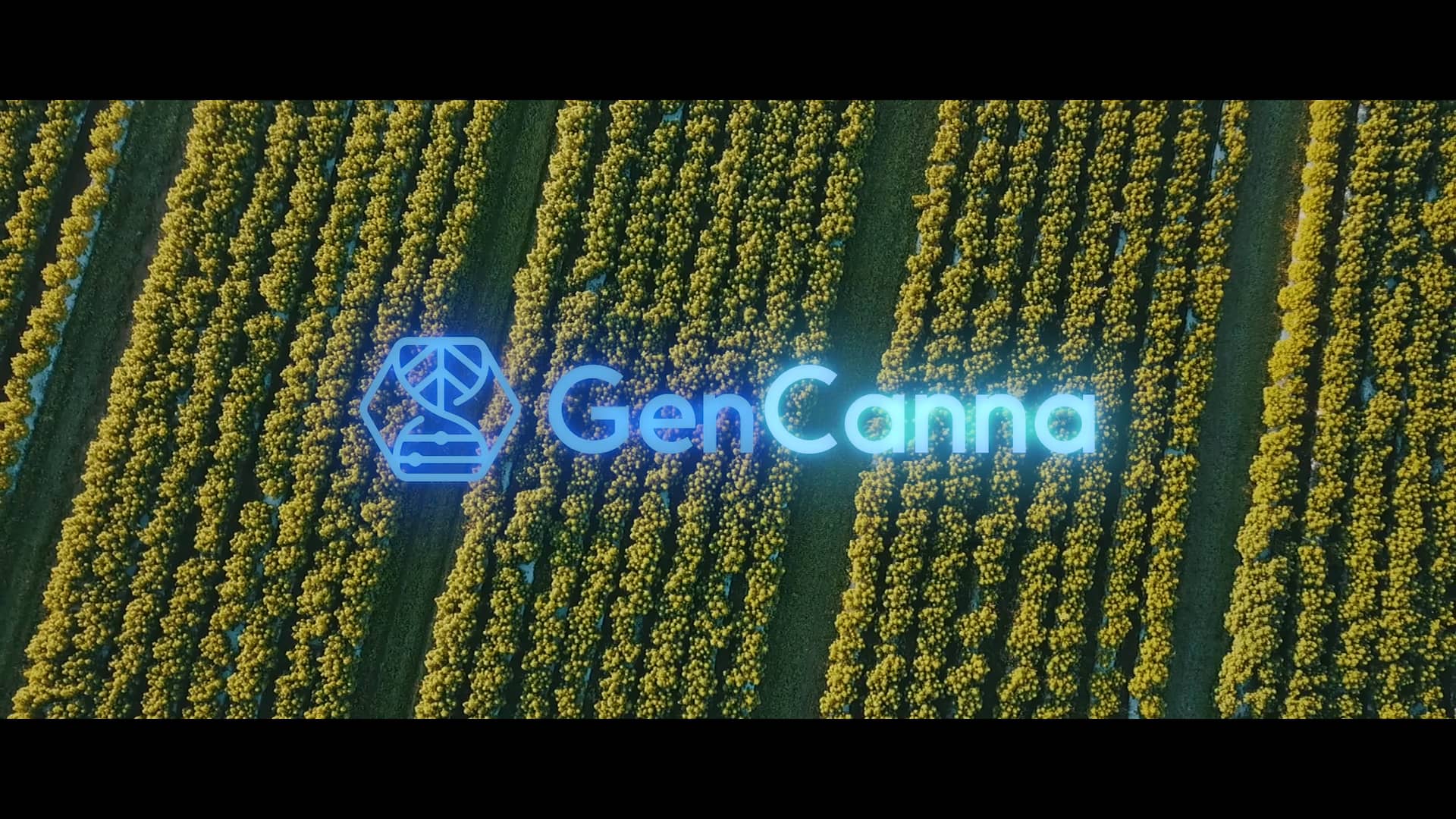 GENCANNA Harvest 2018 on Vimeo