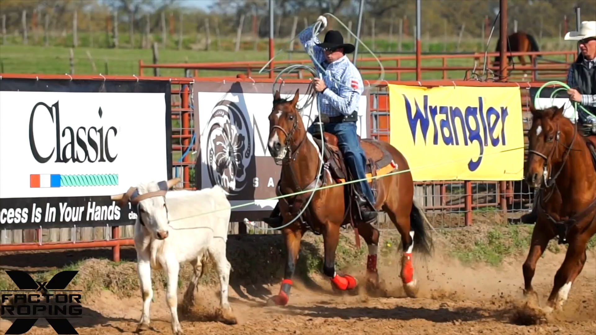 When to Finish a Practice Session on a Green Horse with Joseph Harrison ...